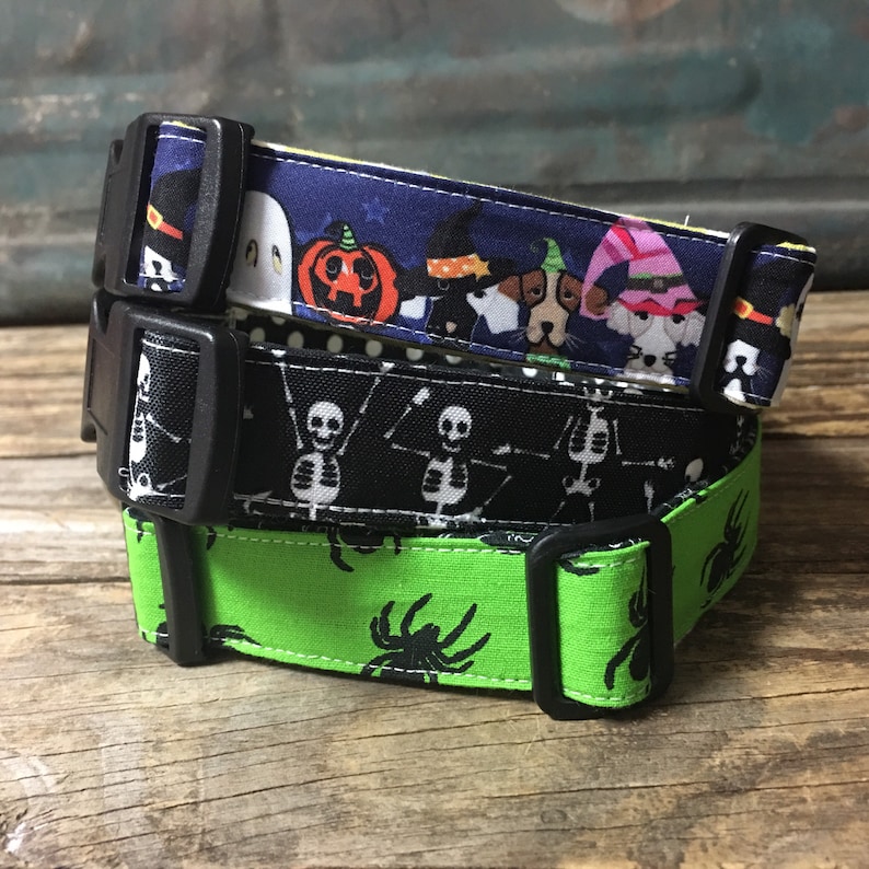 Skeleton Dog Collar - Etsy