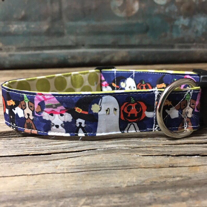 Skeleton Dog Collar - Etsy