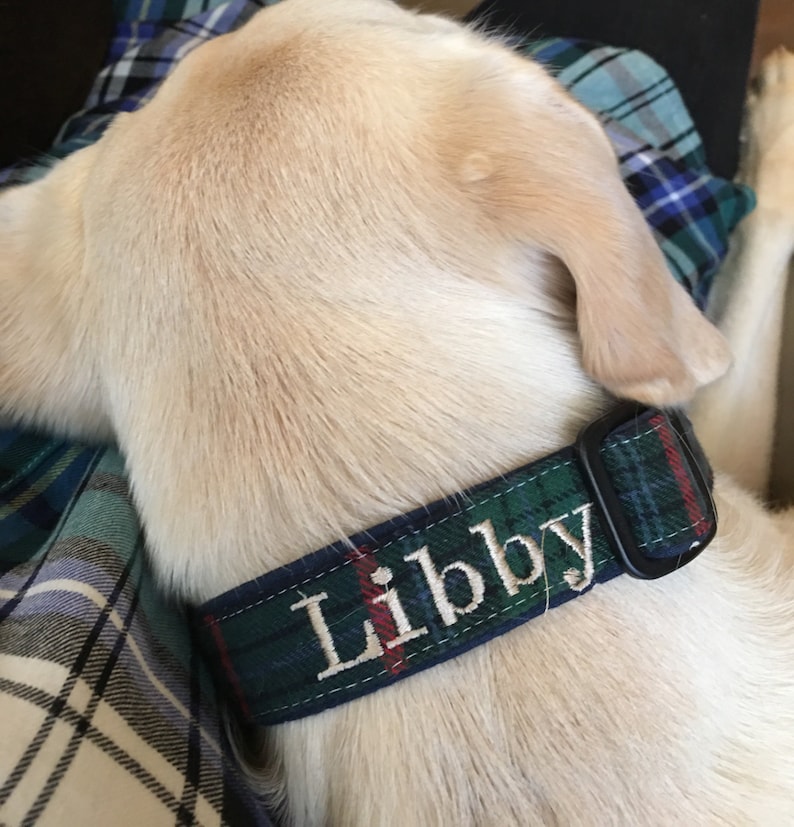 Monogrammed Dog Collar, Personalized Dog Collar, Monogrammed Dog Collar ...
