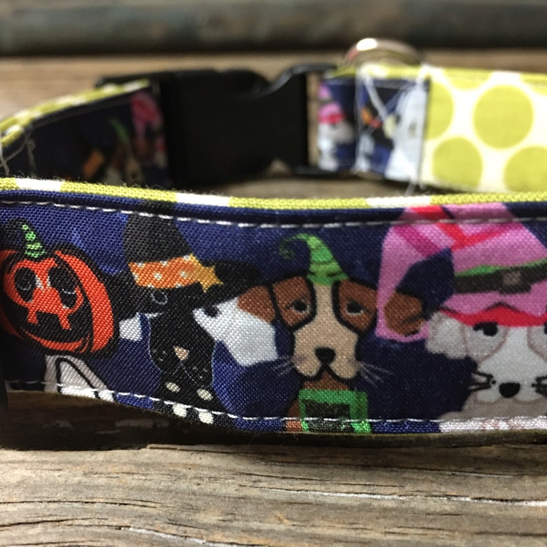 Skeleton Dog Collar - Etsy