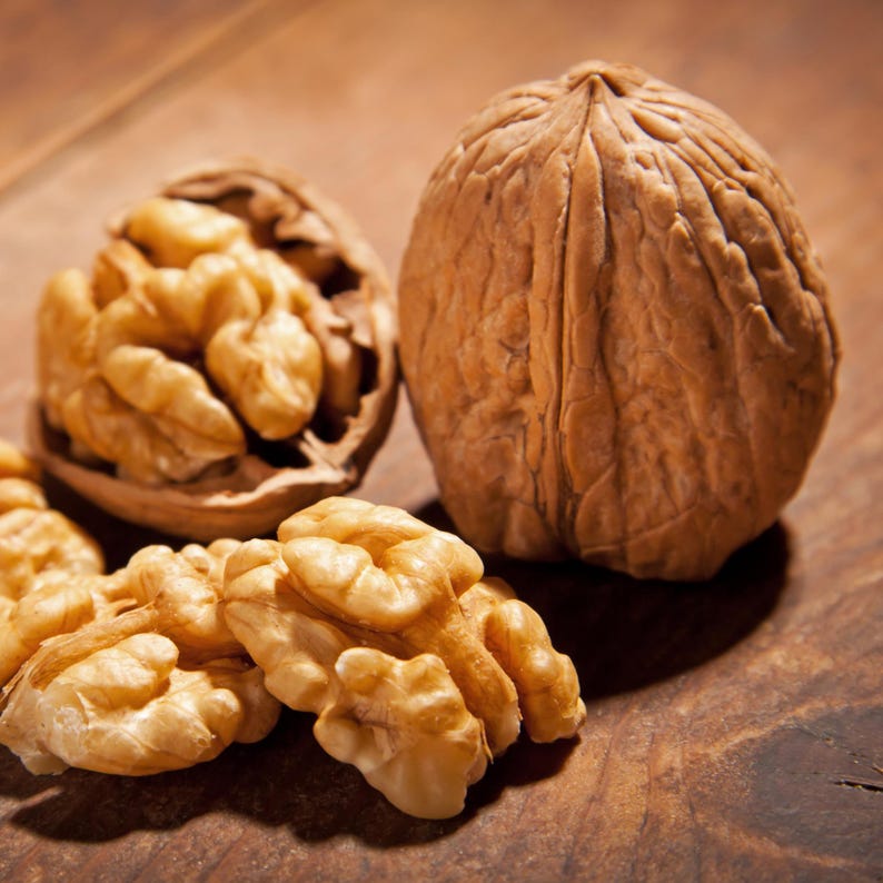 Organic Walnut, WALNUTS With Shell, High Quality Walnut, Healthy Snack ...