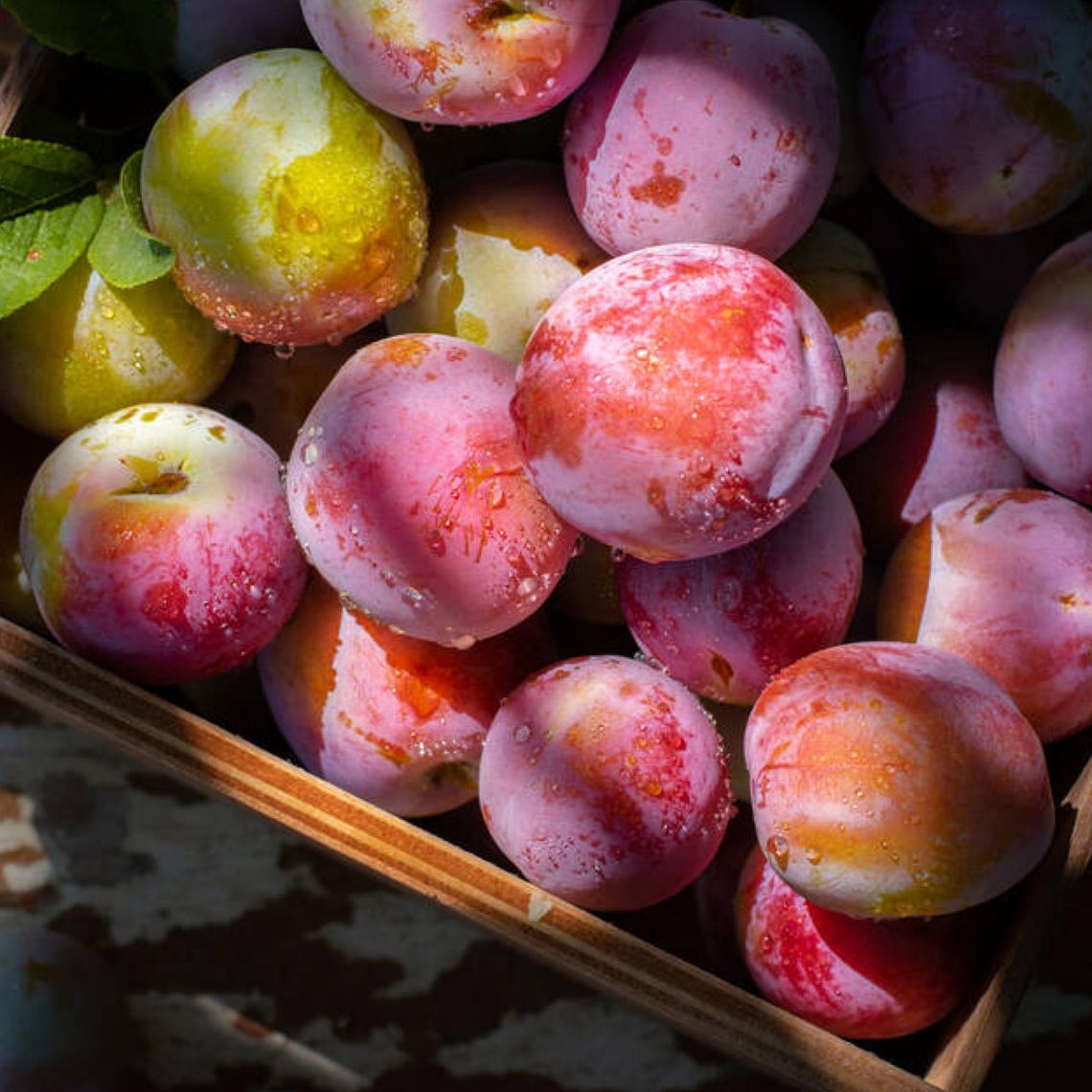 Fresh Angelica Plums – Juicy, Tart & Naturally Grown, Garden to Table ...