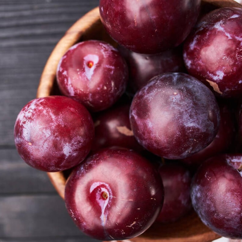 Fresh Angelica Plums – Juicy, Tart & Naturally Grown, Garden to Table ...