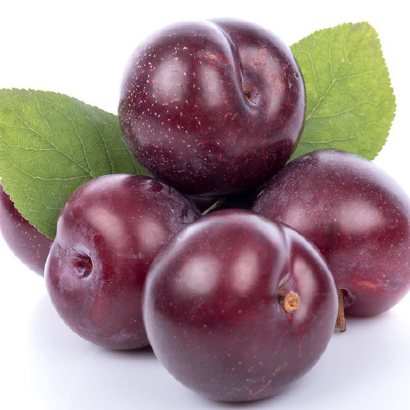 Fresh Angelica Plums – Juicy, Tart & Naturally Grown, Garden to Table ...