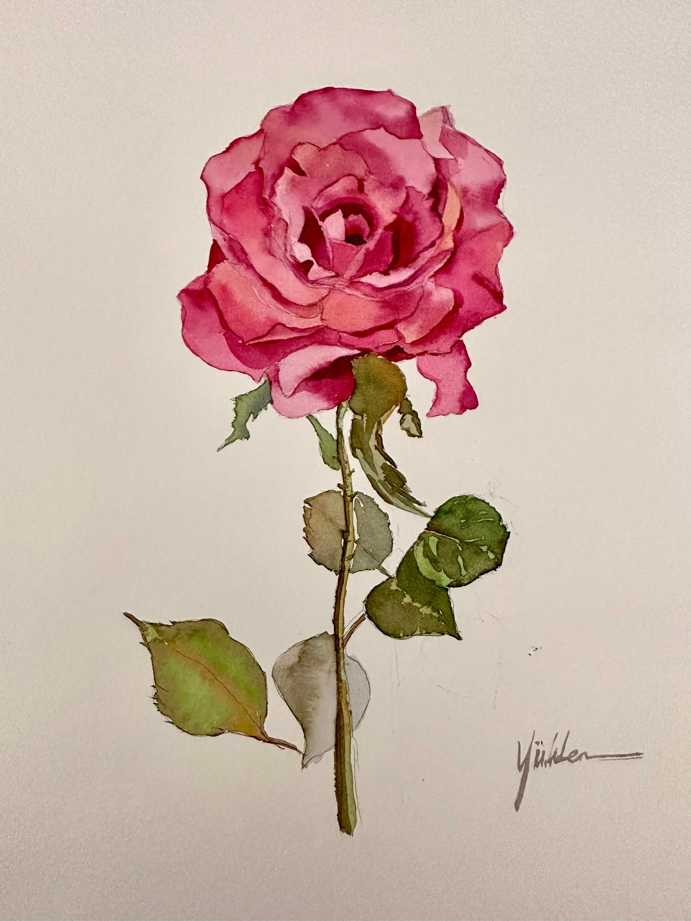 Red Rose Aquarelle , Rose Painting Original Watercolor, Mother Day Gift ...