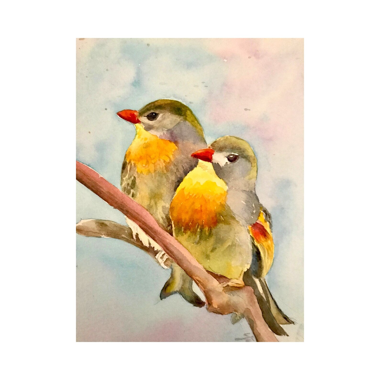 Robin Birds Couple Original Watercolor Painting , Nature Home Decor ...