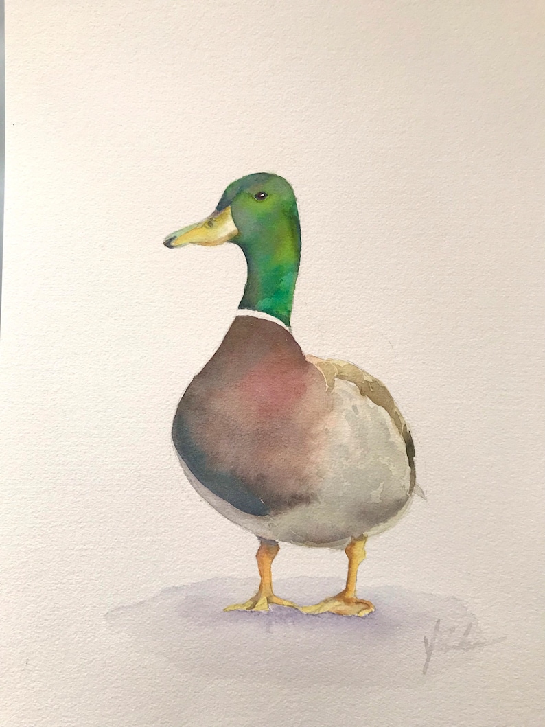 Original Mallard Duck Watercolor Painting, Animal Wall Art (10x14 In ...