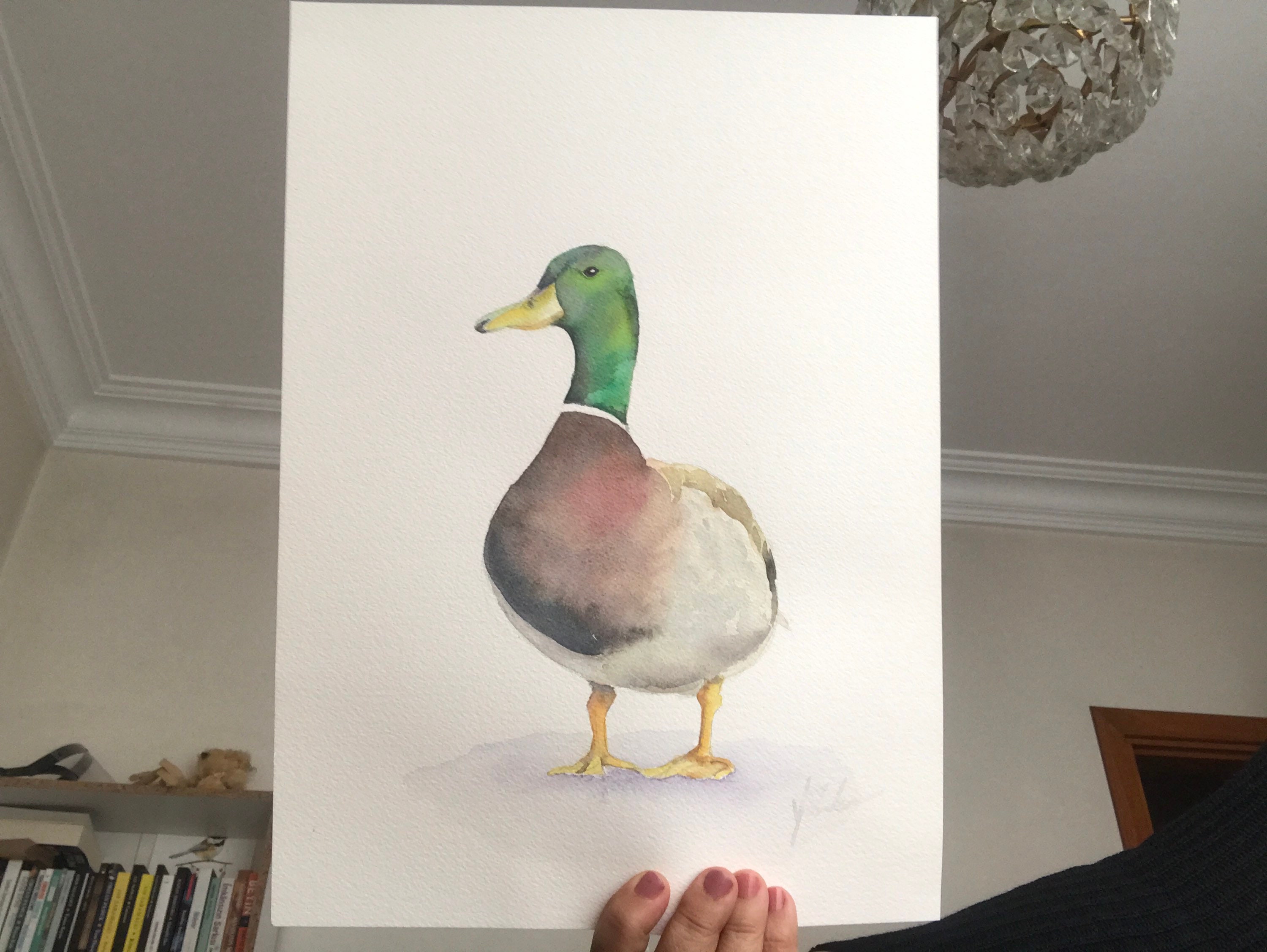 Original Mallard Duck Watercolor Painting, Animal Wall Art (10x14 In ...
