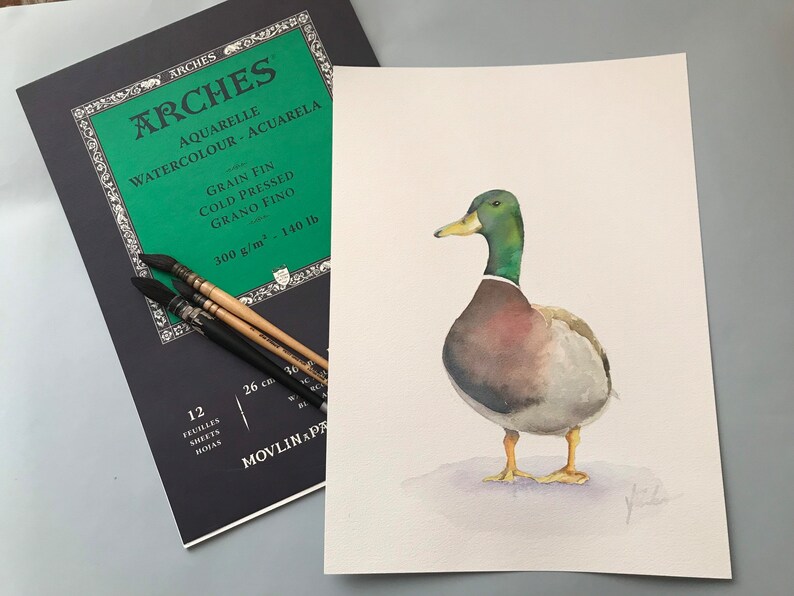 Mallard Duck Watercolor Painting, Original Watercolor, Watercolor Duck ...