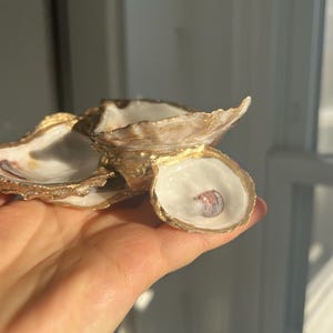 Gift Box| Decoupage Shell | Shell Ring Dish| Jewelry Dish| Gift for Mom ...