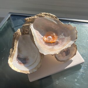 Gift Box| Decoupage Shell | Shell Ring Dish| Jewelry Dish| Gift for Mom ...