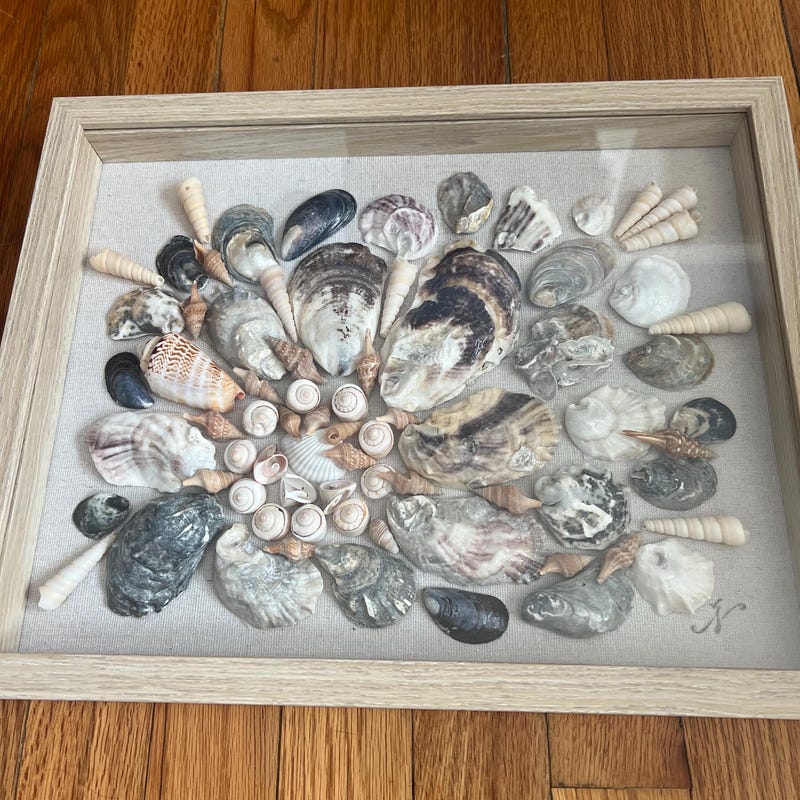 Shell Art Shadow Box - Etsy