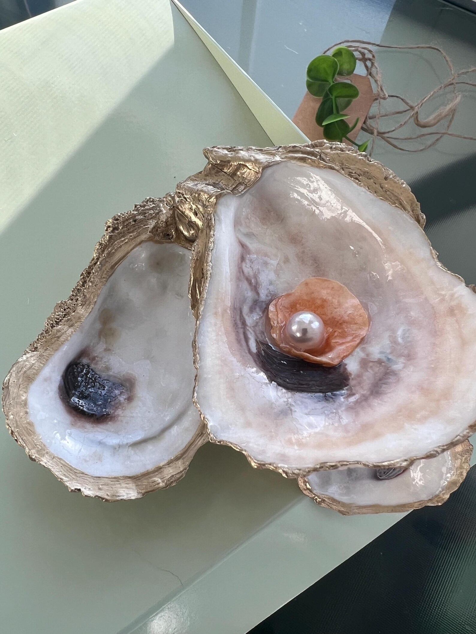 Gift Box| Decoupage Shell | Shell Ring Dish| Jewelry Dish| Gift for Mom ...