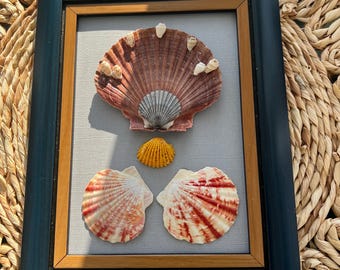 Shell Art - Etsy