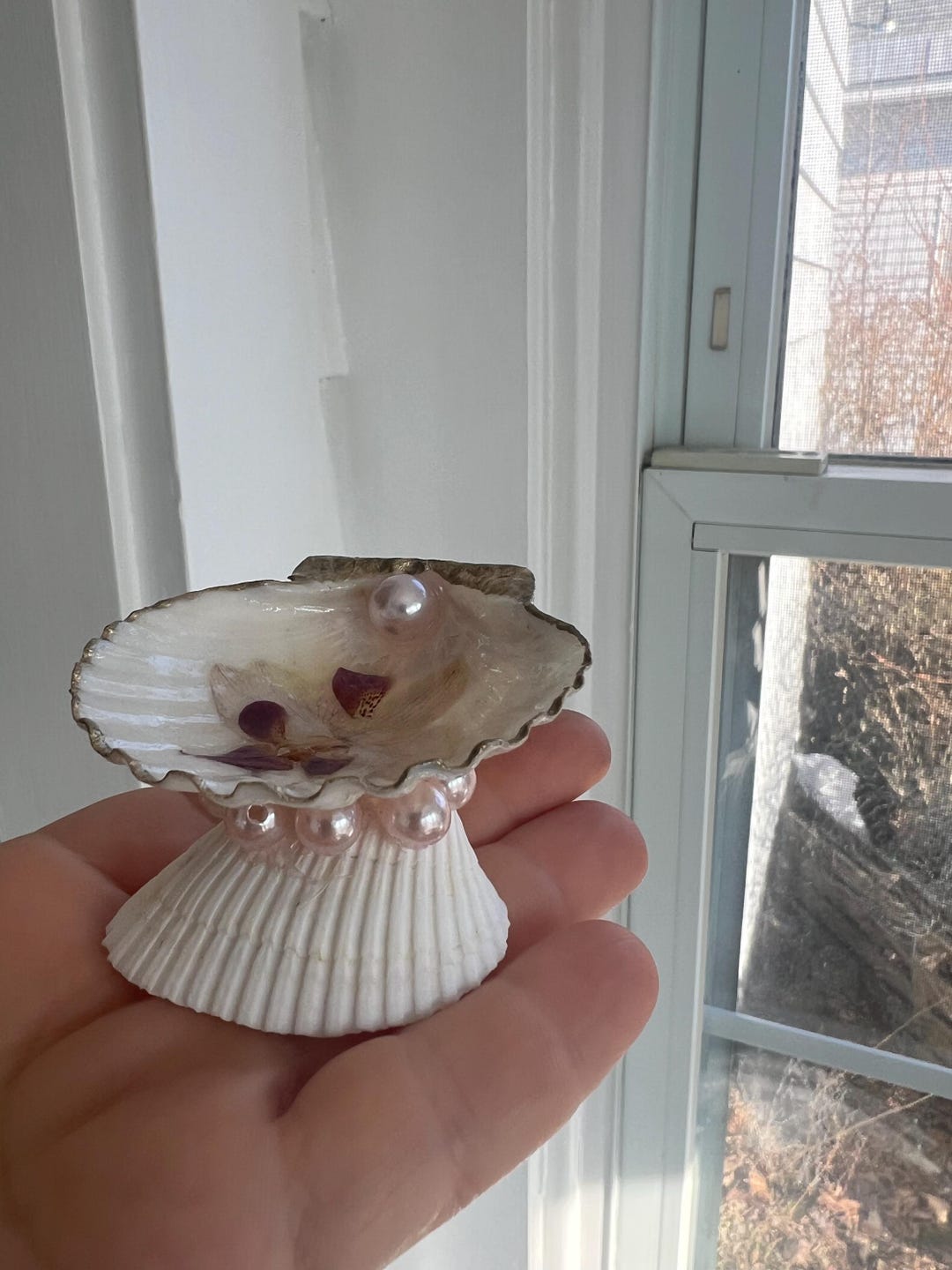 Gift Box| Decoupage Shell With Real Pressed Orchid Flower | Shell Ring ...