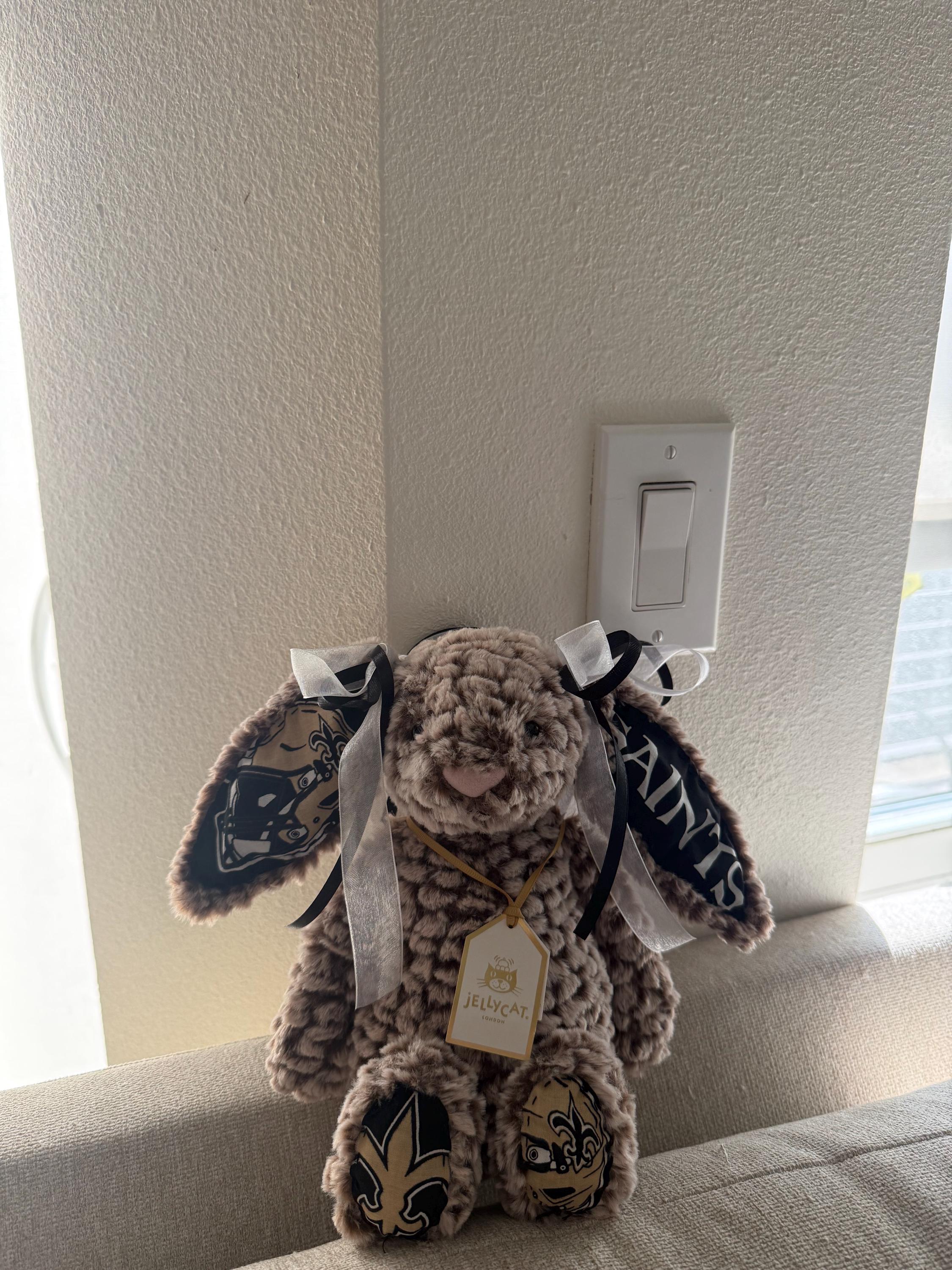 College, NFL, or Any Customized Stuffed Animal - Etsy