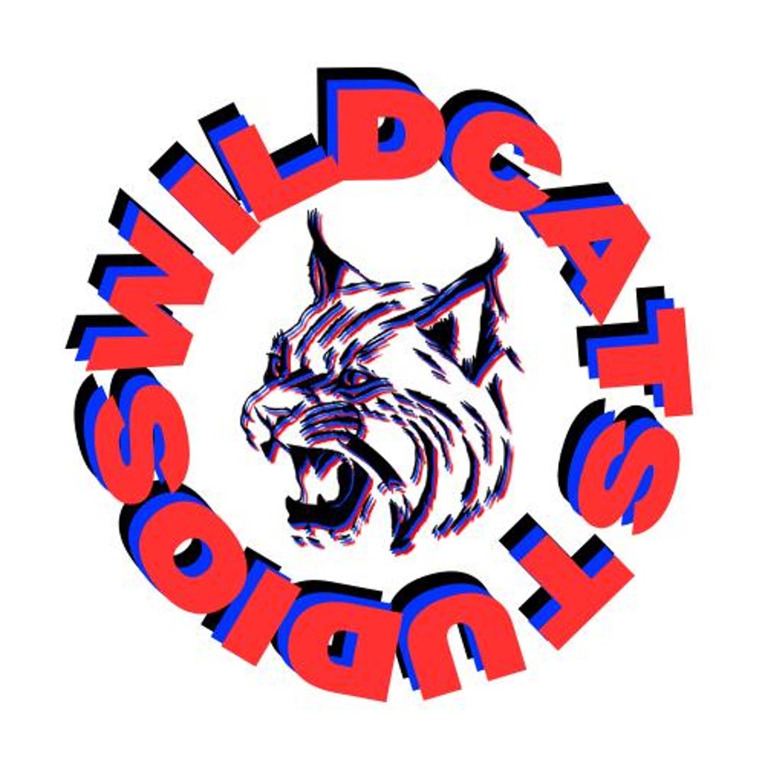 Wildcat Studios Logo PNG | Fierce Wildcat Clipart | Digital Download for Branding, Stickers ...
