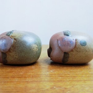 UCTCI Pig 2-hole Shaker Set | Salt and Pepper Set | Japan - Etsy