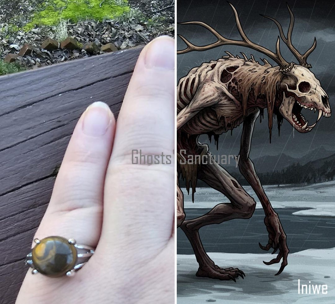 Black Arts Male Wendigo Spirit Adoption | Ghosts' Sanctuary - Etsy