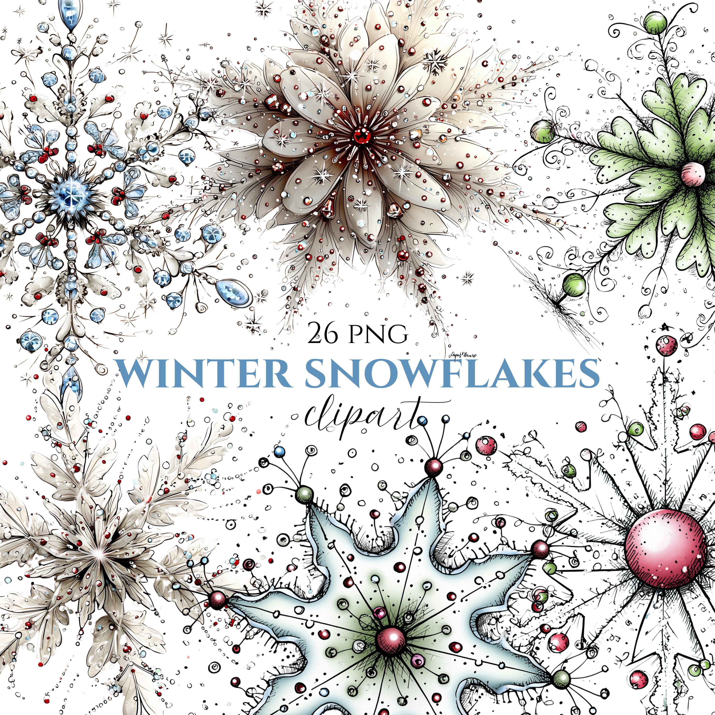 Whimsical Snowflake Clipart Bundle | 26 Ornate Winter Snowflakes PNG ...
