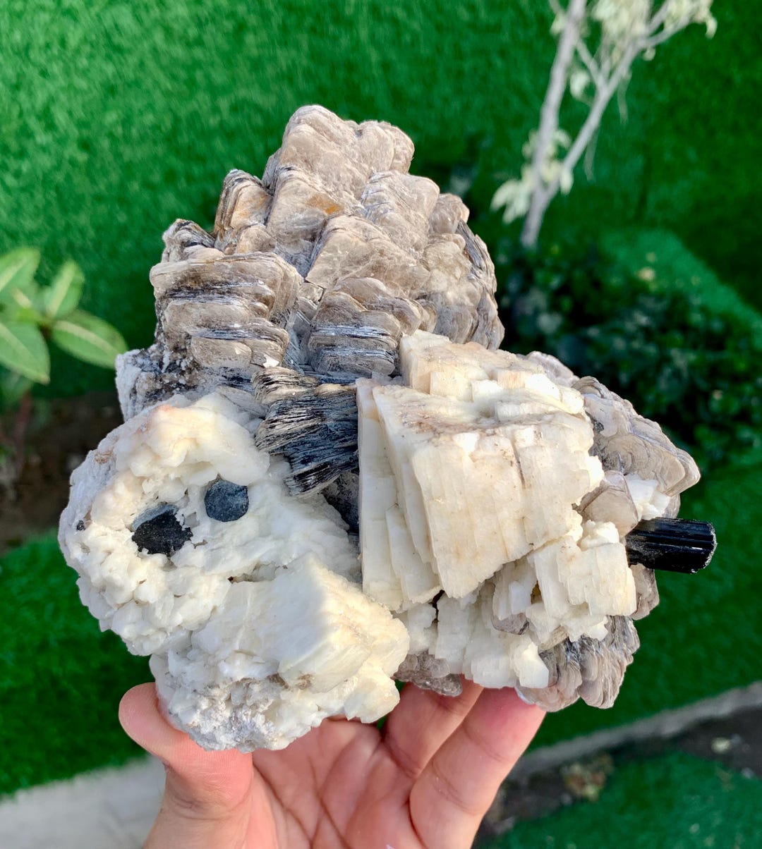 Star Mica With Schorl Tourmaline on Feldspar – Pakistan Mineral ...