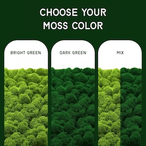 Unique Moss Wall Art With Light for Gift | Handmade Nature Decor for ...