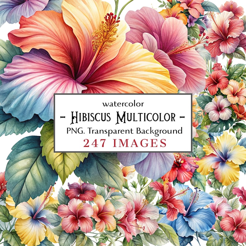 Watercolor Hibiscus Clipart Bundle: Tropical Flower Pngs for ...