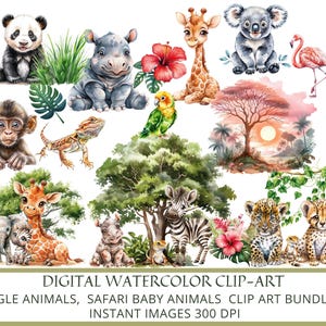 Safari Baby Animals Clipart: 55 Jungle Watercolor PNG Files (digital ...