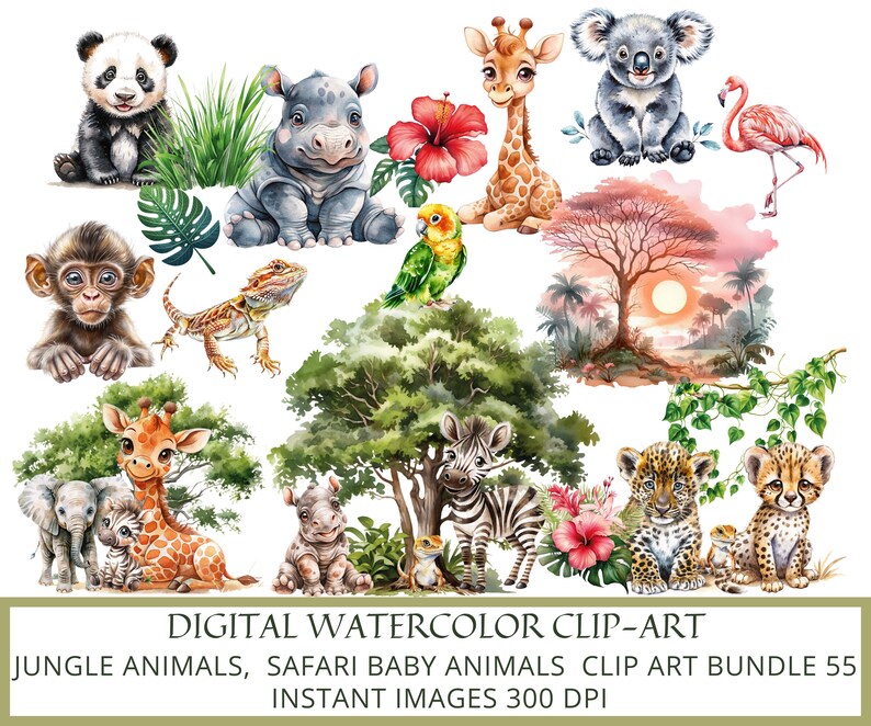 Safari Baby Animals Clipart: 55 Jungle Watercolor PNG Files (digital ...