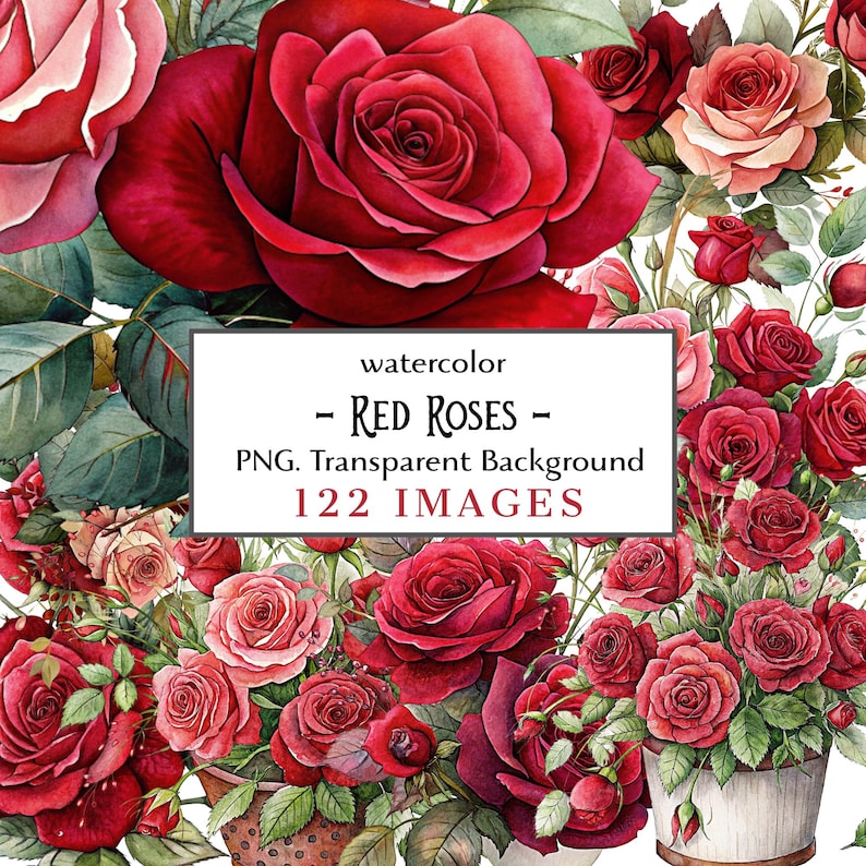 Red Roses Watercolor Clipart: Floral Illustrations PNG (digital ...