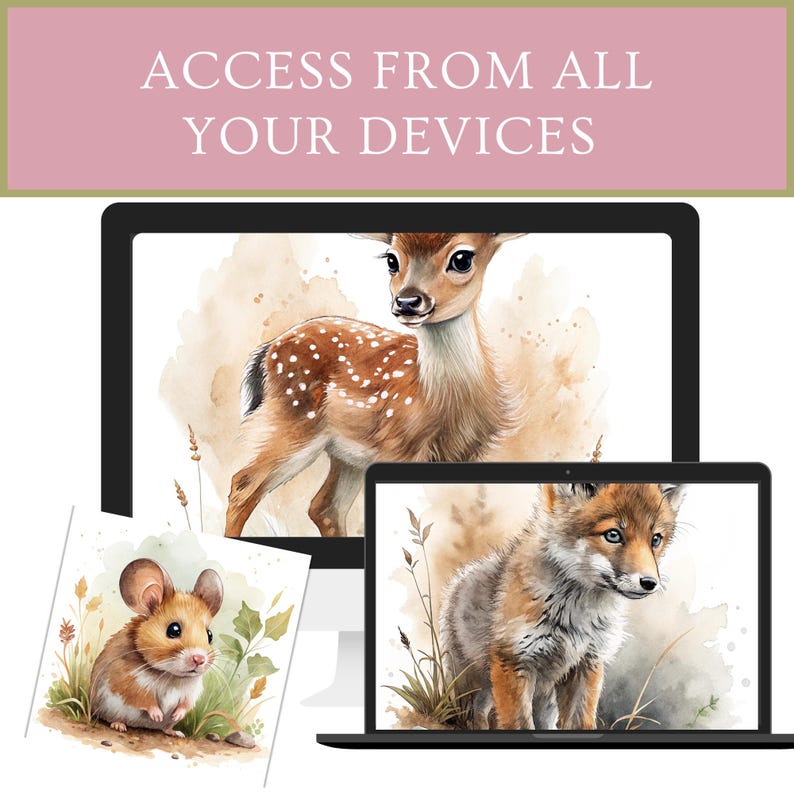 Woodland Baby Animals Clipart Bundle – Digital Illustrations PNG ...
