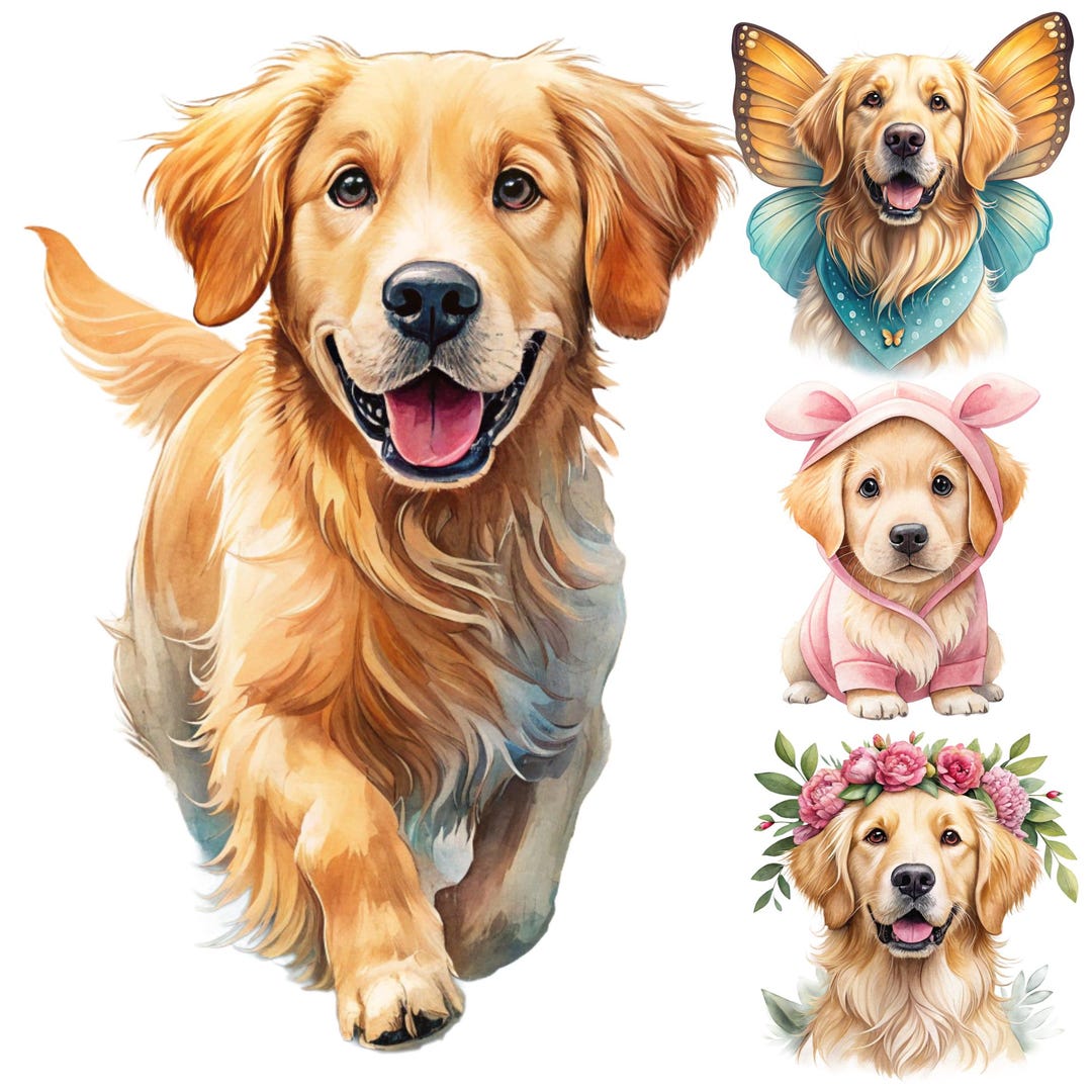 Golden Retriever - 305 Clipart Watercolor– Funny Costumes – PNG Images ...