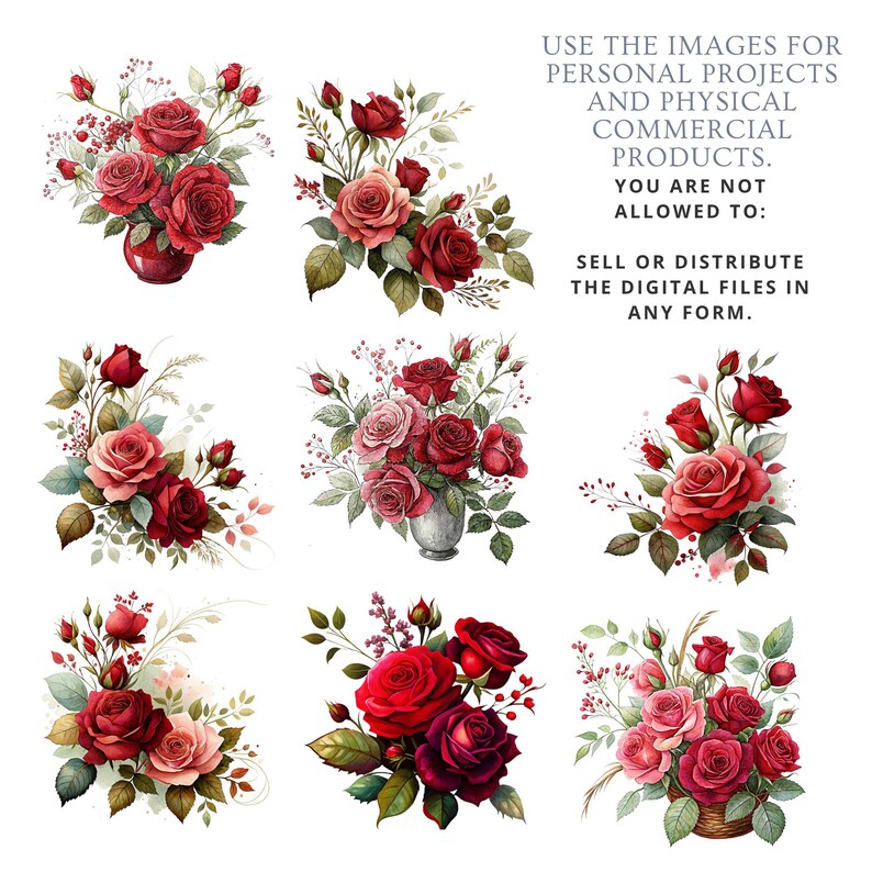 Red Roses Watercolor Clipart: Floral Illustrations PNG (digital ...