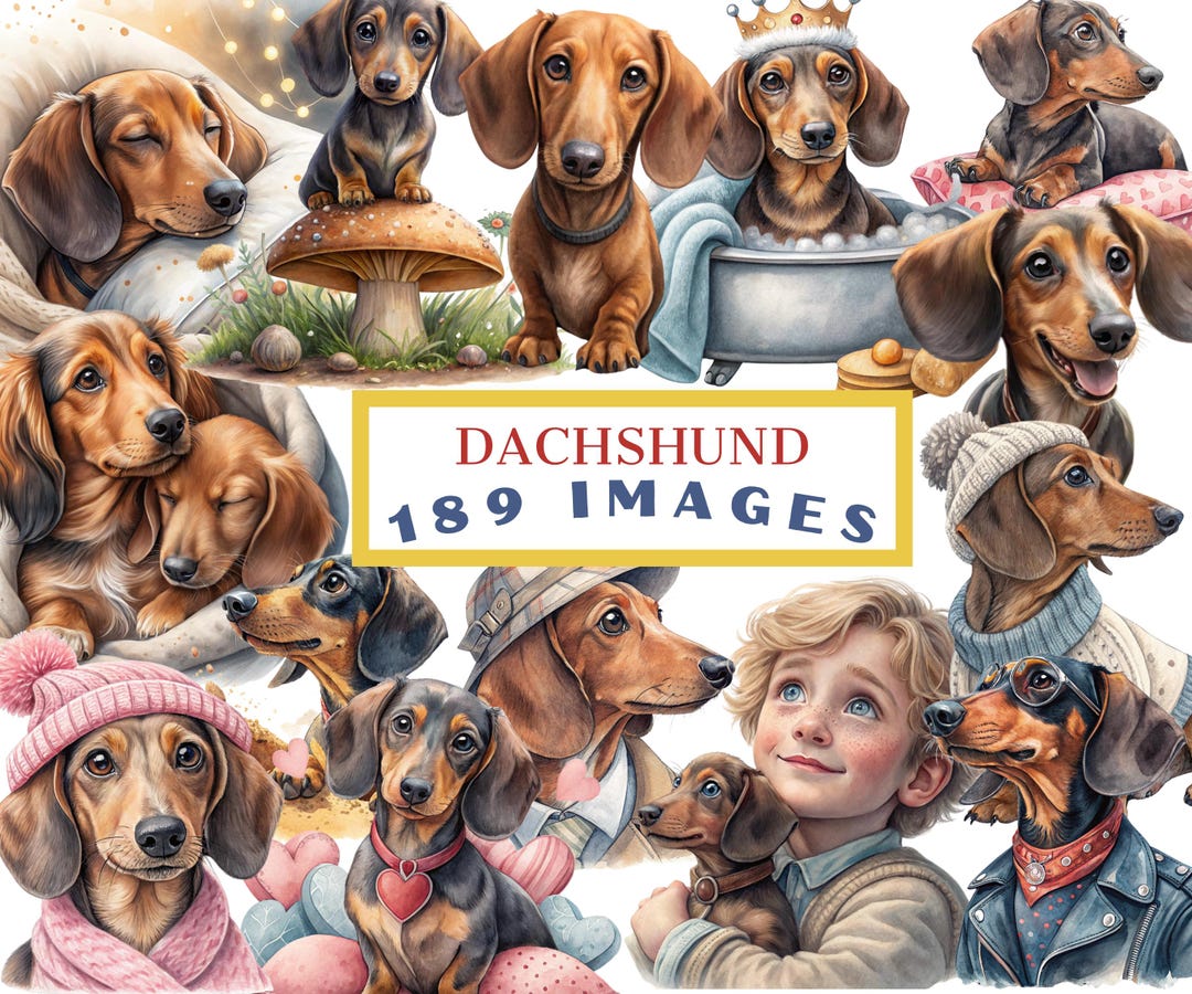 Dachshund Clipart Bundle – 210 Watercolor Sausage Dog Illustrations ...