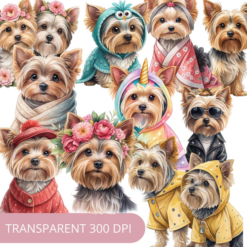 Yorkshire Terrier Watercolor Clipart: 250 PNG Illustrations (digital ...