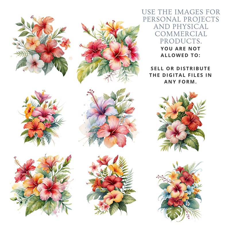 Watercolor Hibiscus Clipart Bundle: Tropical Flower Pngs for ...