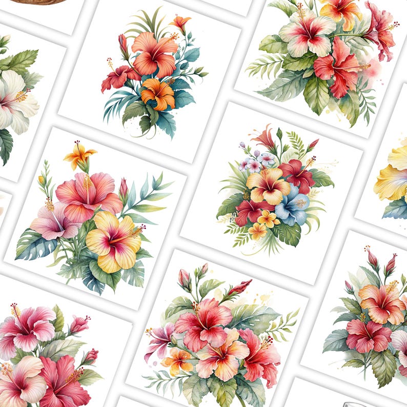 Watercolor Hibiscus Clipart Bundle: Tropical Flower Pngs for ...