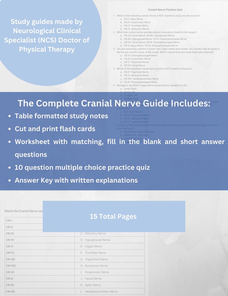 The Complete Cranial Nerve Study Guide - Etsy