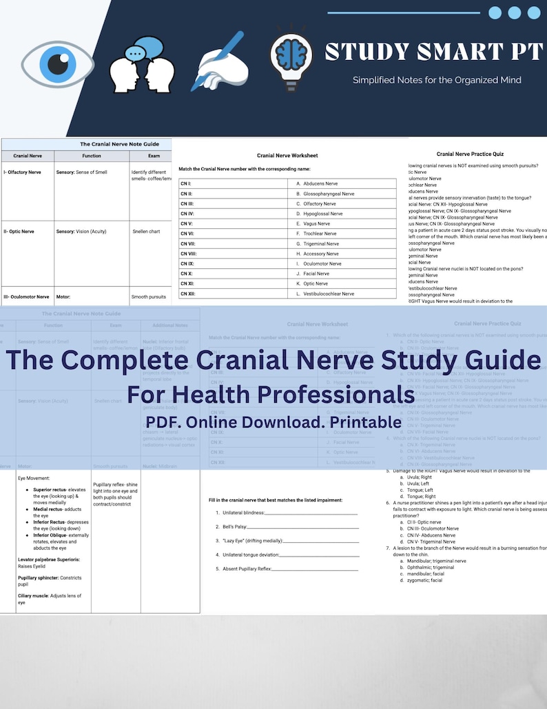 The Complete Cranial Nerve Study Guide - Etsy