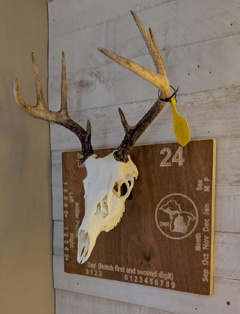 Deer License Tag European Mount Plaque - Etsy