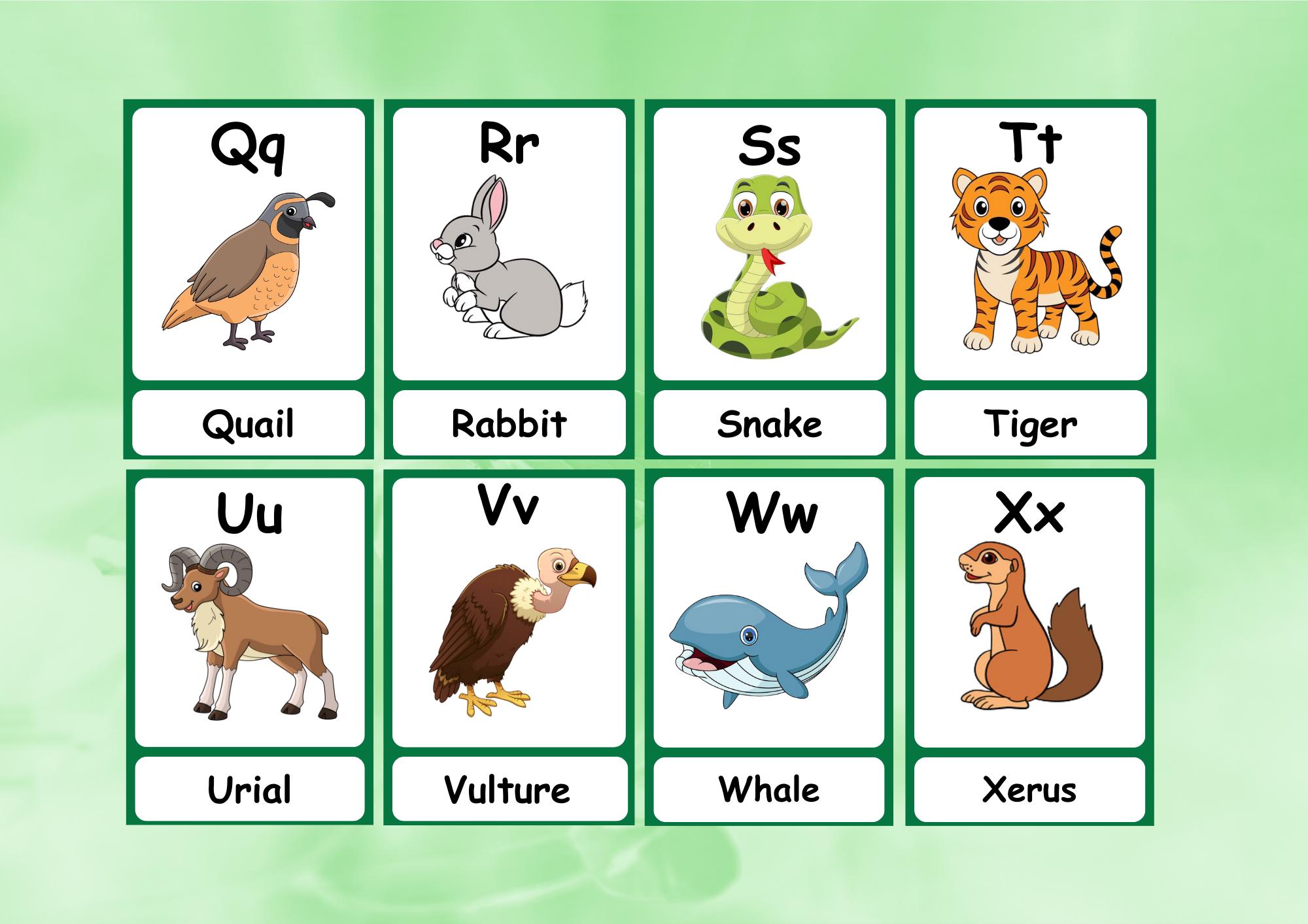 ABC Animal Flashcards: A-Z Printable Learning Cards (digital Download ...