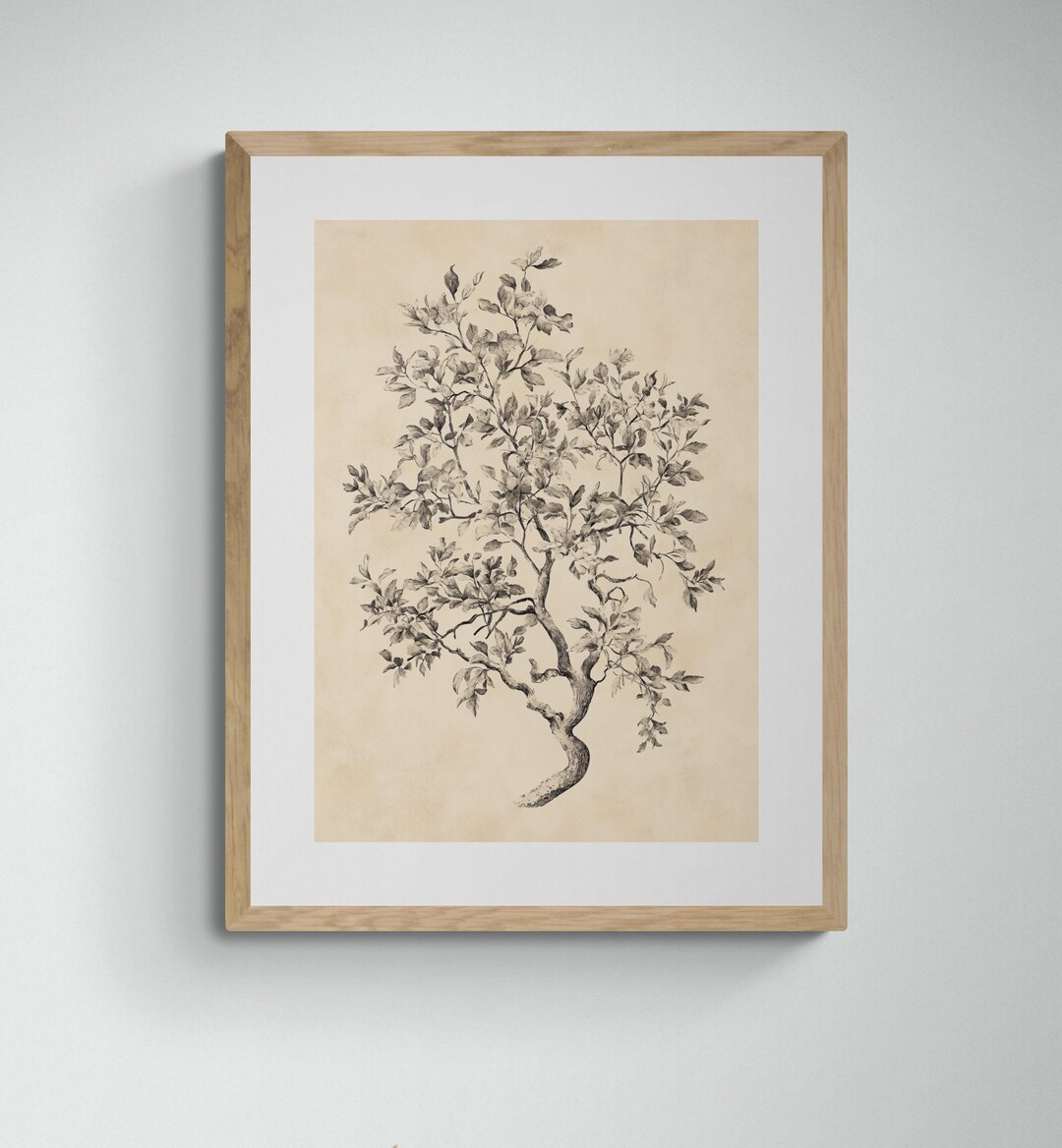 Antique Apple Tree Print – Rustic Botanical Wall Art, Minimalist Nature ...
