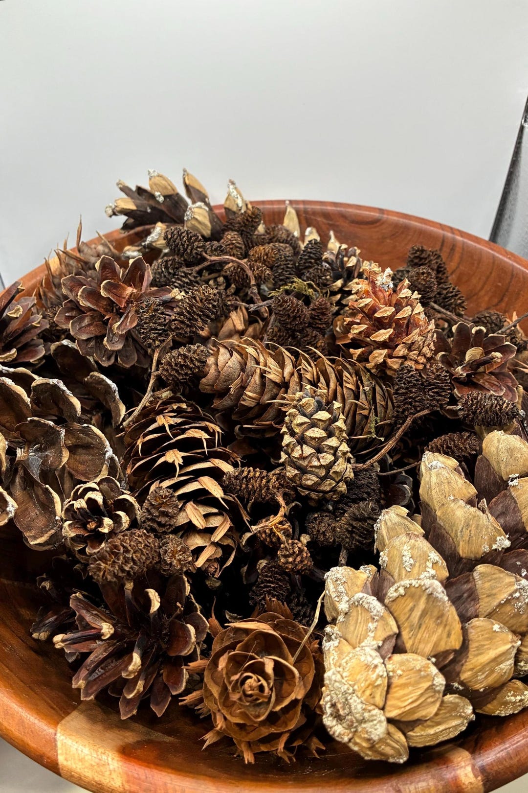Natural Pine Cone Mix, Farmhouse Christmas Bowl Fillers, 5 Kinds - Etsy