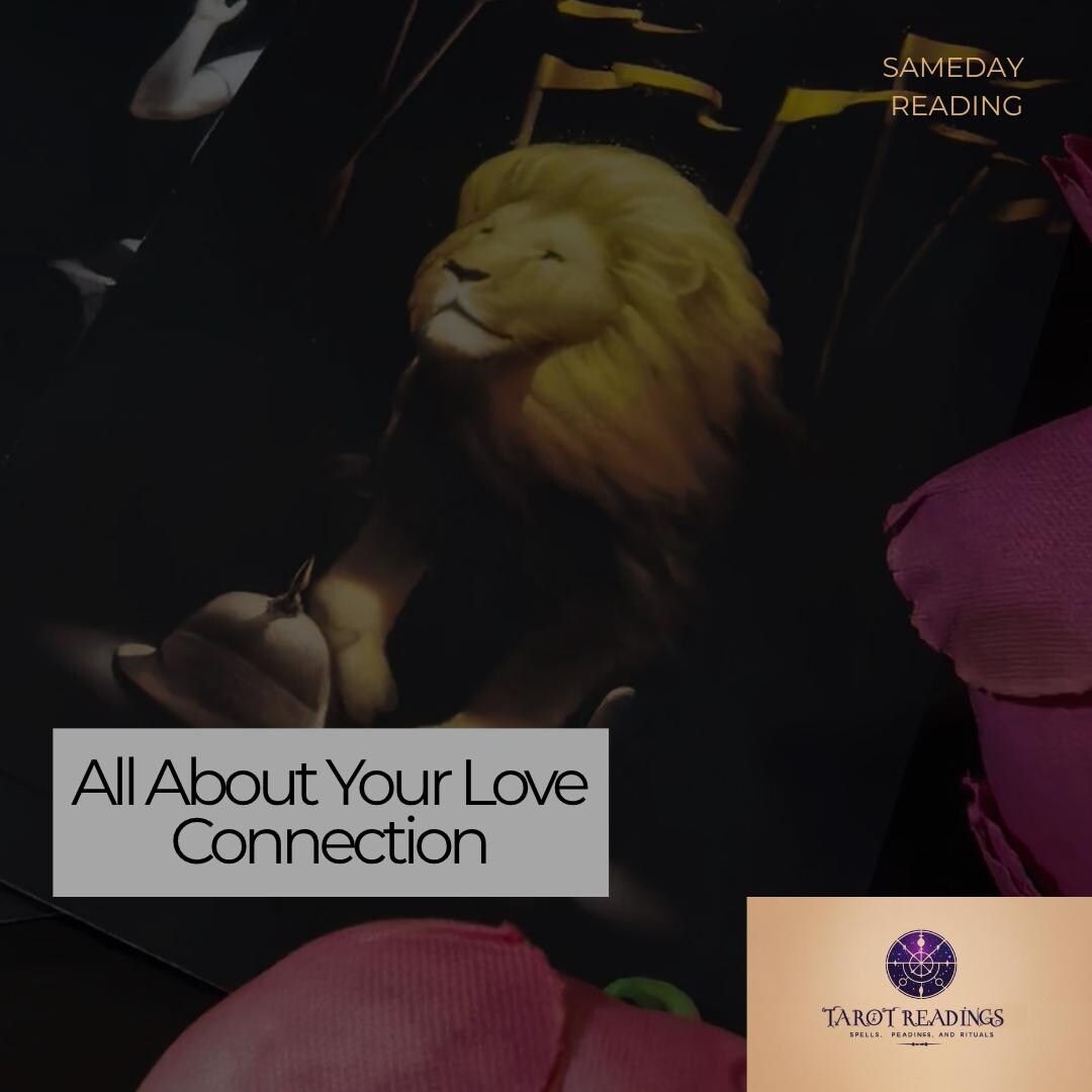 All About Your Love Connection | Accurate Psychic Reading PDF | Love ...