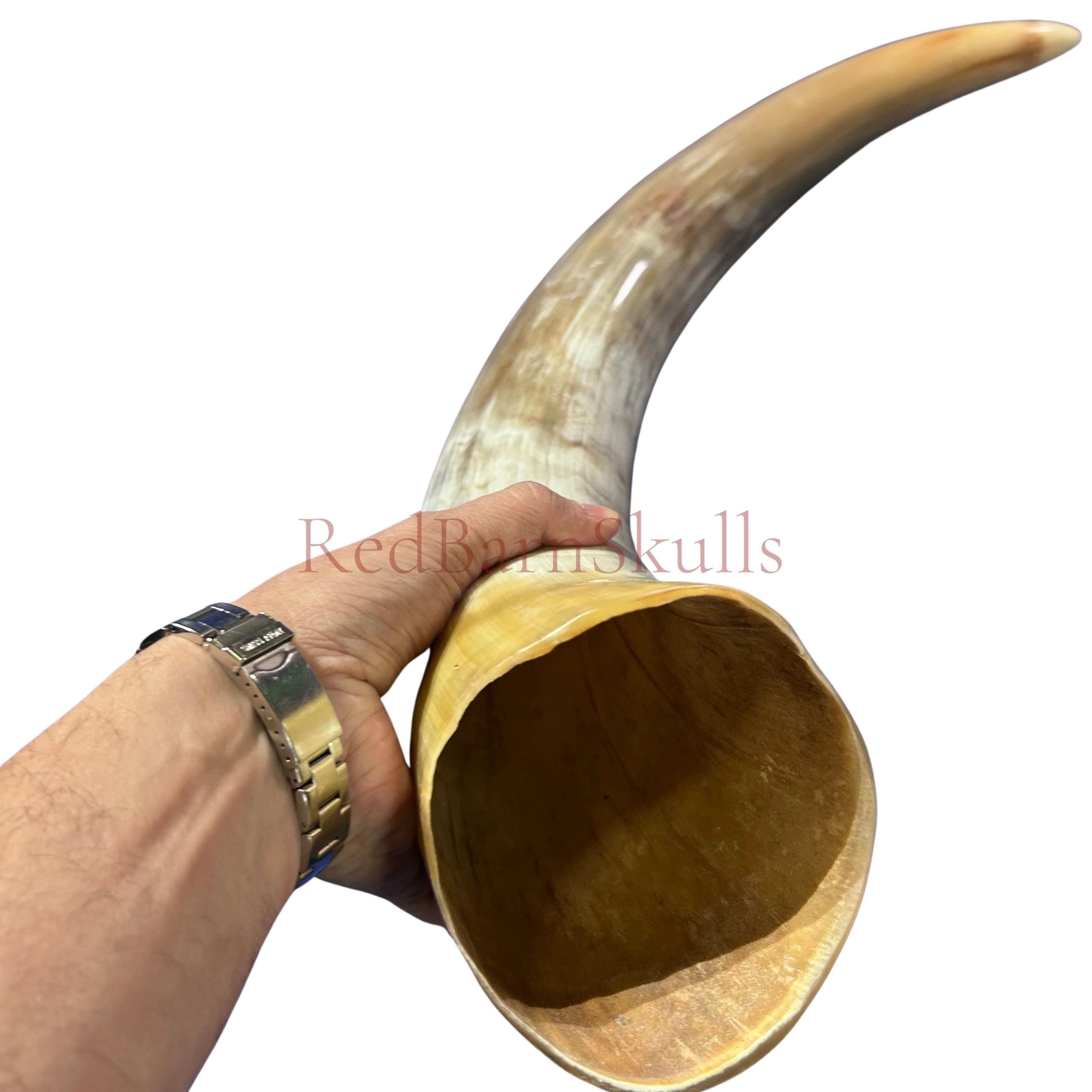 Polished Ox Horn Set (2 Horns/left and Right) - 22" Long Horns Rustic ...