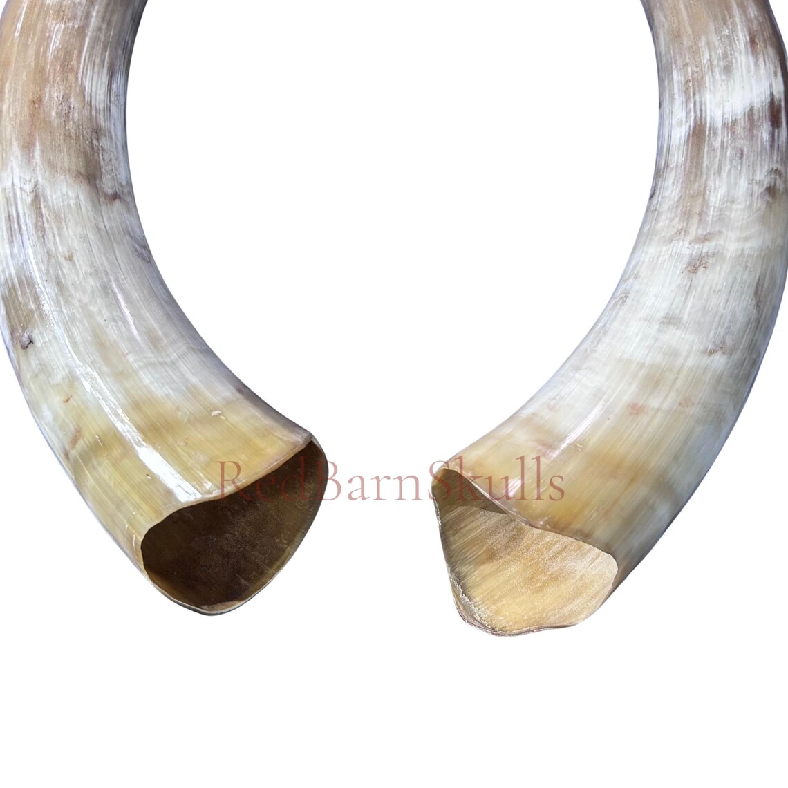 Polished Ox Horn Set (2 Horns/left and Right) - 22" Long Horns Rustic ...