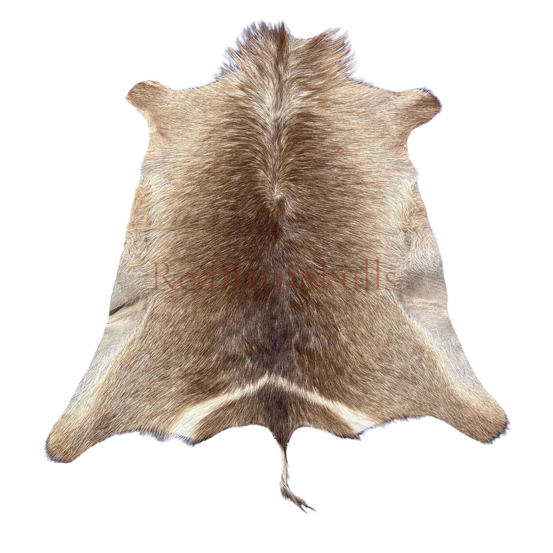 Waterbuck Skin - Deer Leather Rug -deer Skin Floor Rug - Real Waterbuck ...