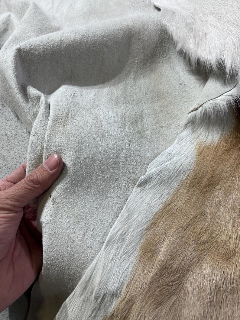 Springbok Skin - Deer Leather Rug Deer Skin for Pillows, Wallets, Hand ...