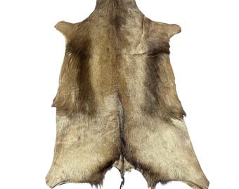 Springbok Skin - Tiny Size Deer Leather Rug Deer Skin for Pillows ...