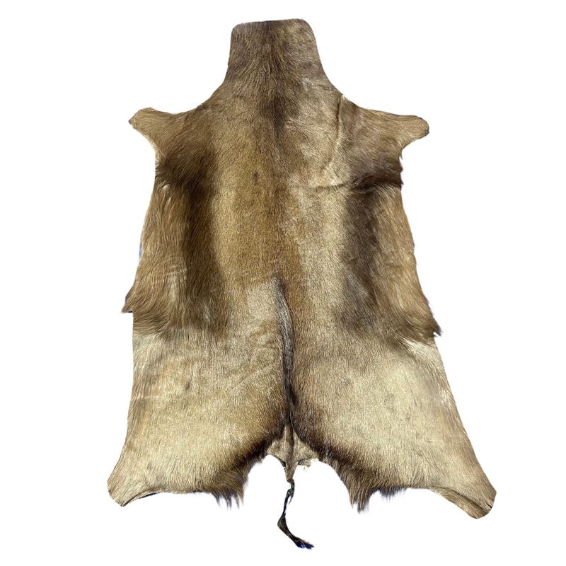 Springbok Hide - Etsy